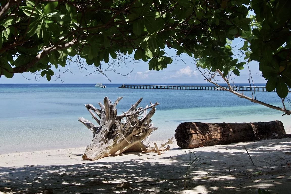 Moluccas & Sulawesi: Culture & Nature Adventure Trips