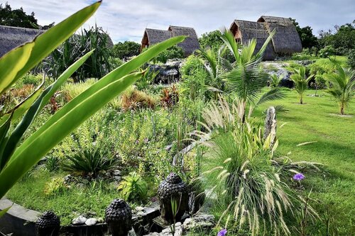 Moluccas & Sulawesi: Culture & Nature Adventure Trips