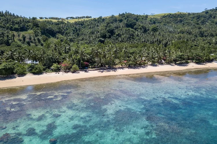 Moluccas & Sulawesi: Culture & Nature Adventure Trips