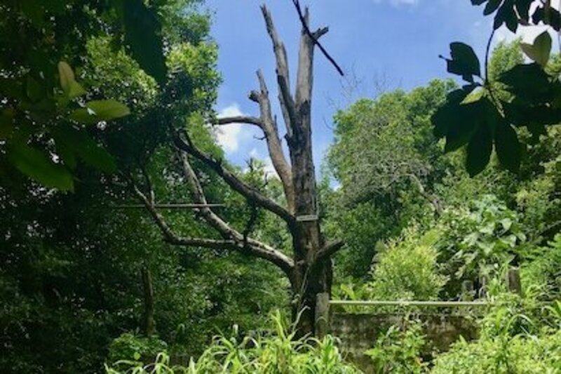 Ternate: Individual trips to the Spice Islands, Indonesia