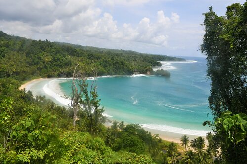 Moluccas & Sulawesi: Culture & Nature Adventure Trips